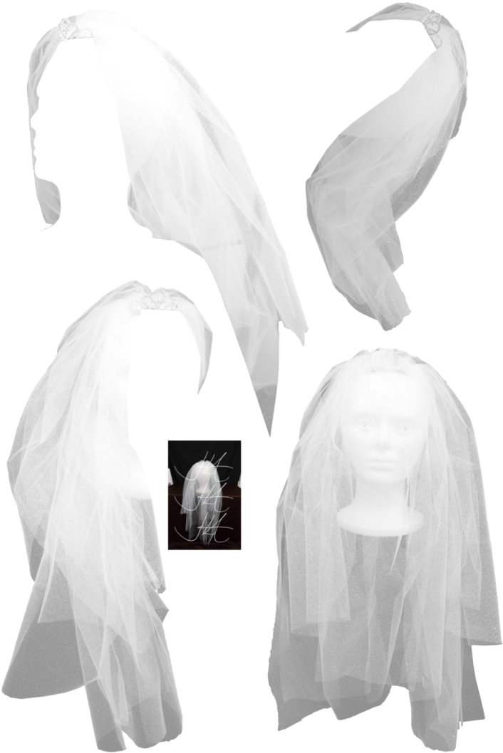 Congratulations! The PNG Image Has Been Downloaded (Wedding Veil Png ...