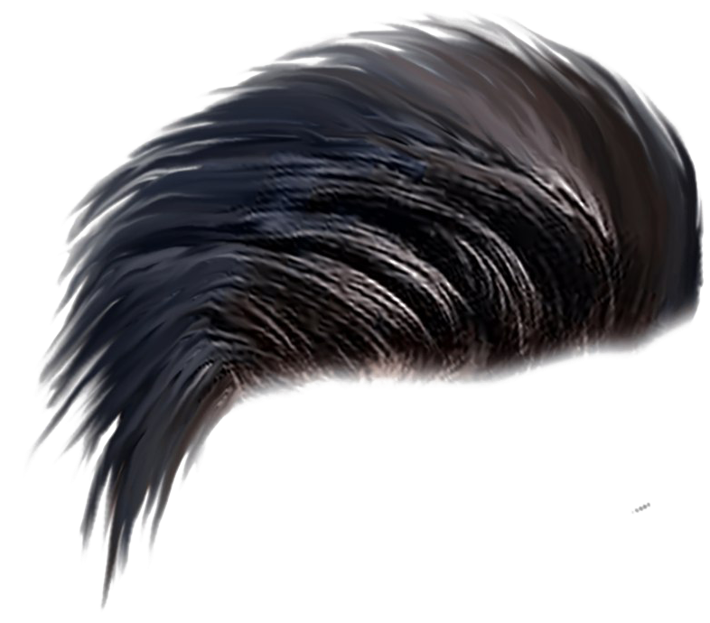 Congratulations! The PNG Image Has Been Downloaded (Men Hair Png ...