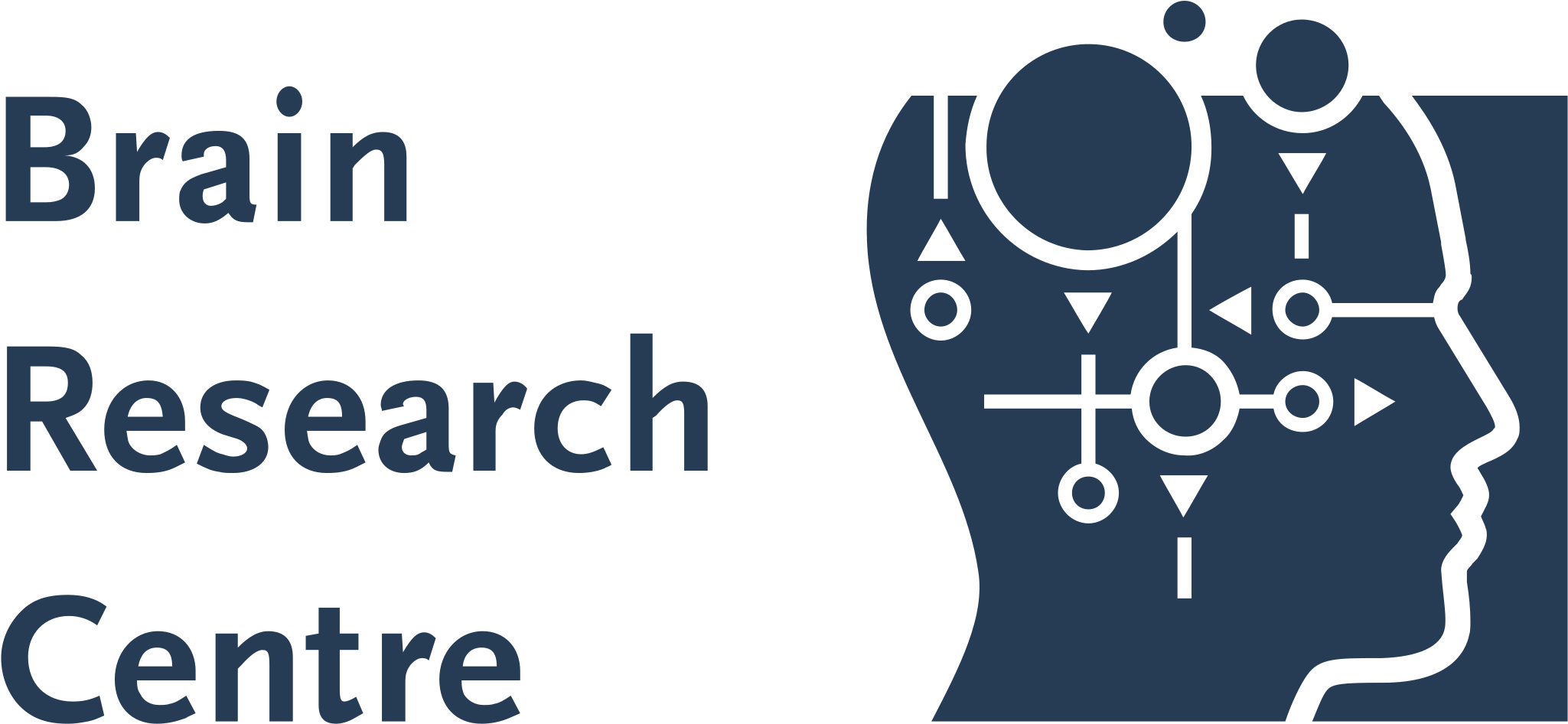 Congratulations! The PNG Image Has Been Downloaded (Brain Research ...