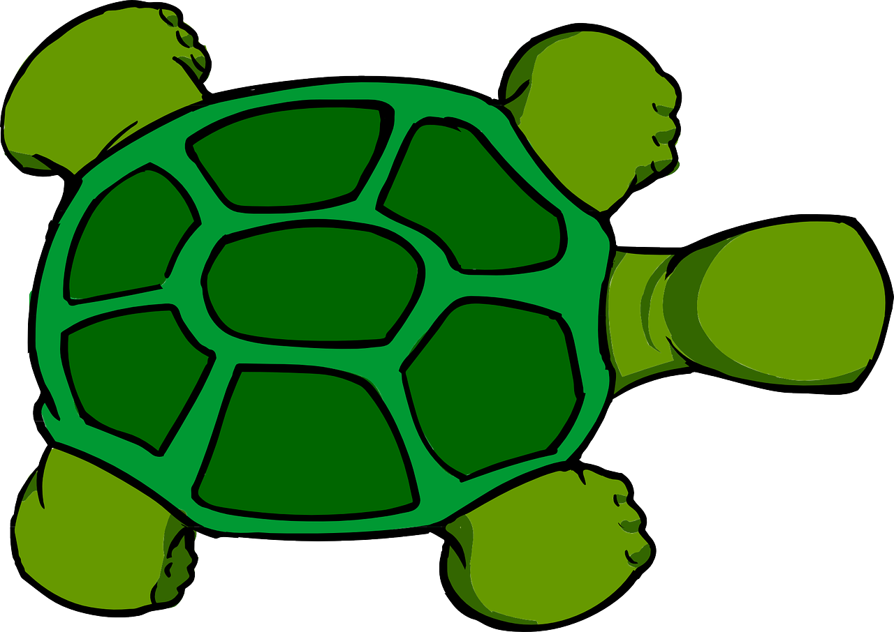 Congratulations! The PNG Image Has Been Downloaded (Turtle, Top, View ...