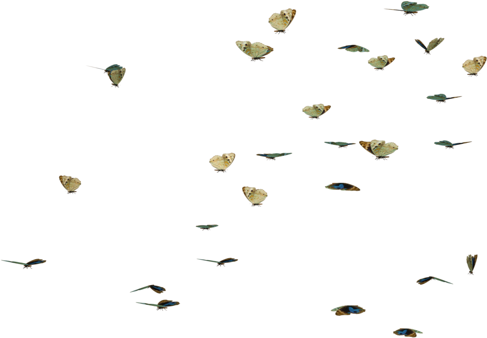 Congratulations! The PNG Image Has Been Downloaded (Swarm Of Bees Png ...