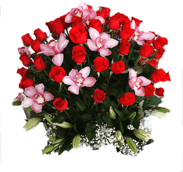 Congratulations! The PNG Image Has Been Downloaded (Transparent ...