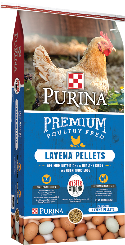 Congratulations! The PNG Image Has Been Downloaded (Purina Layena ...