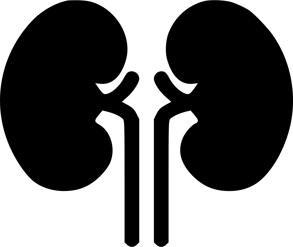 Congratulations! The PNG Image Has Been Downloaded (Kidney Organ Health ...