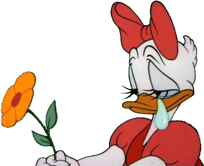 Congratulations! The PNG Image Has Been Downloaded (Sad Daisy Duck ...