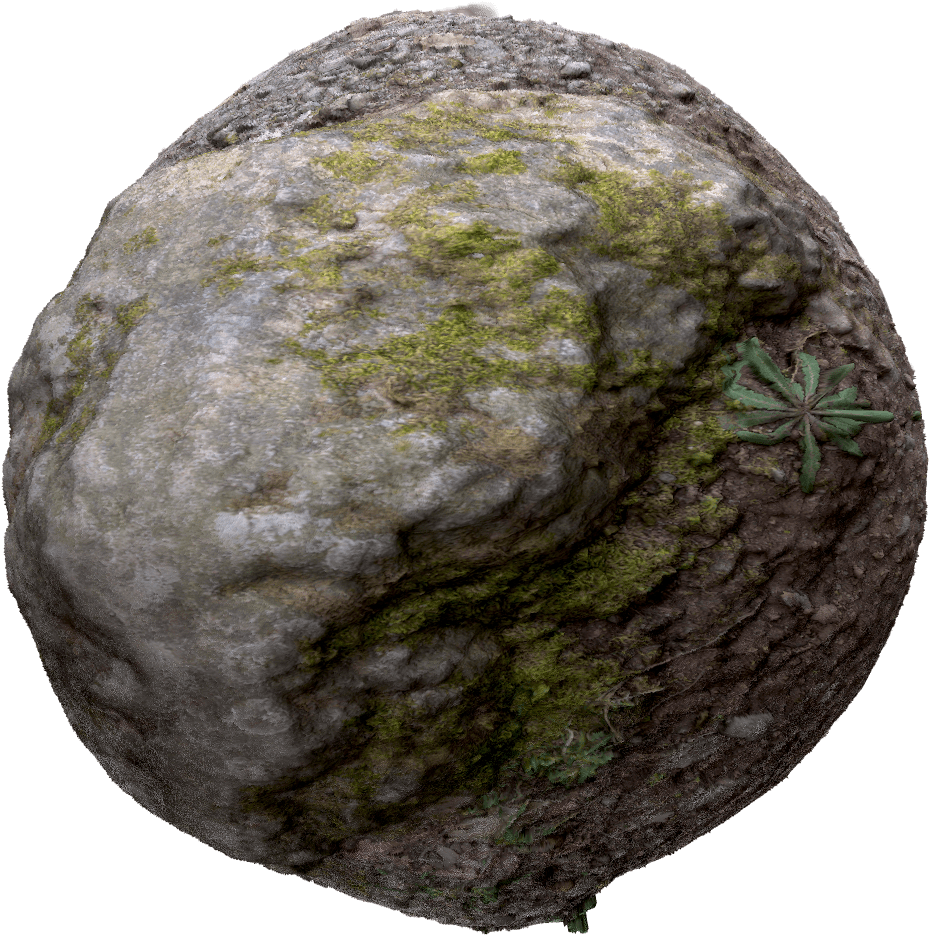 Congratulations! The PNG Image Has Been Downloaded (Forest Rock Texture ...
