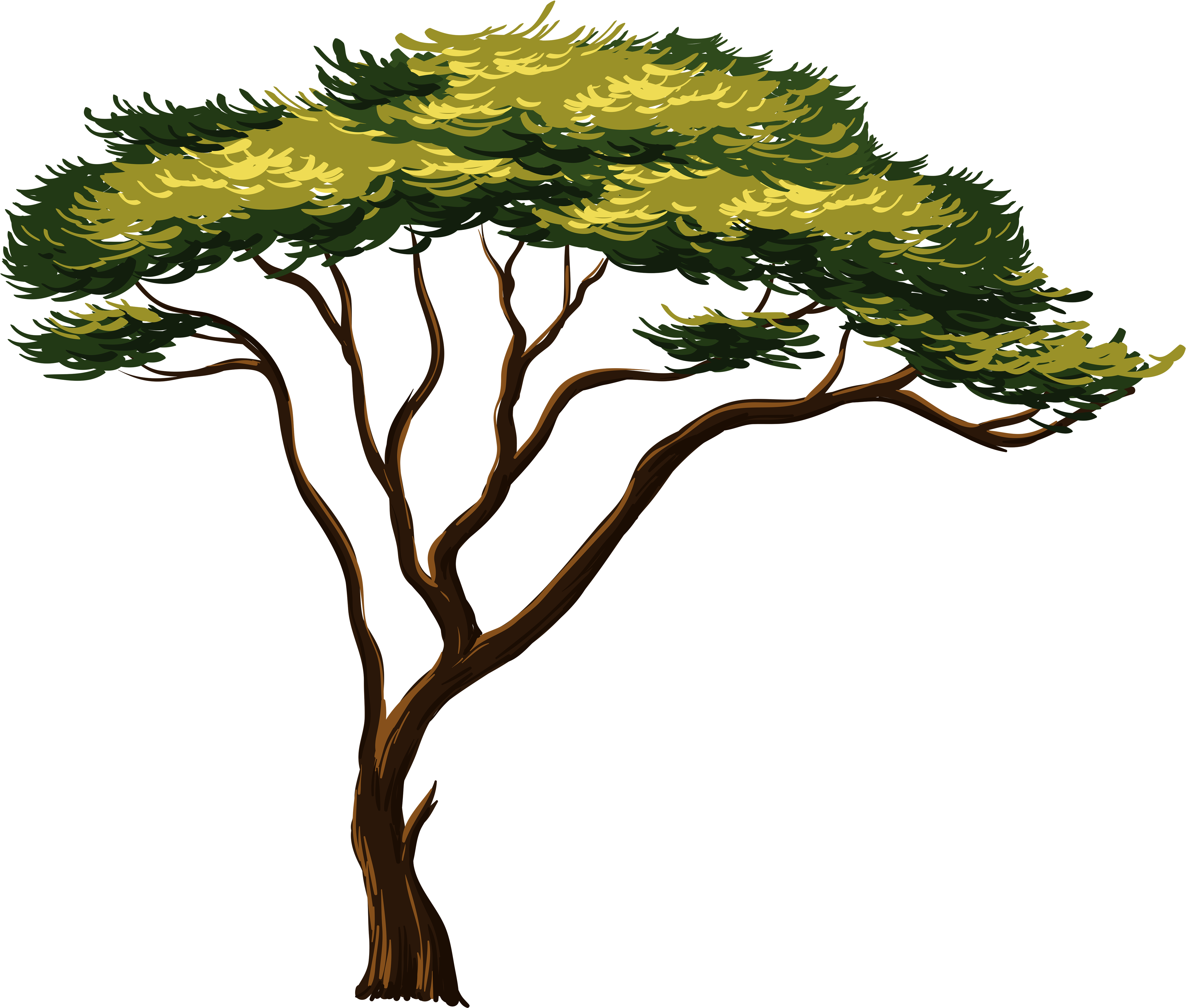 Congratulations! The PNG Image Has Been Downloaded (Painted African Png ...
