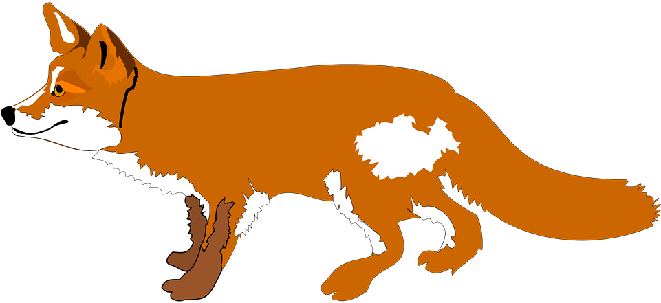 Congratulations! The PNG Image Has Been Downloaded (Transparent Fox ...