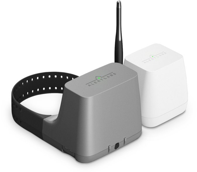 Congratulations! The PNG Image Has Been Downloaded (Flowie-o Water Flow ...