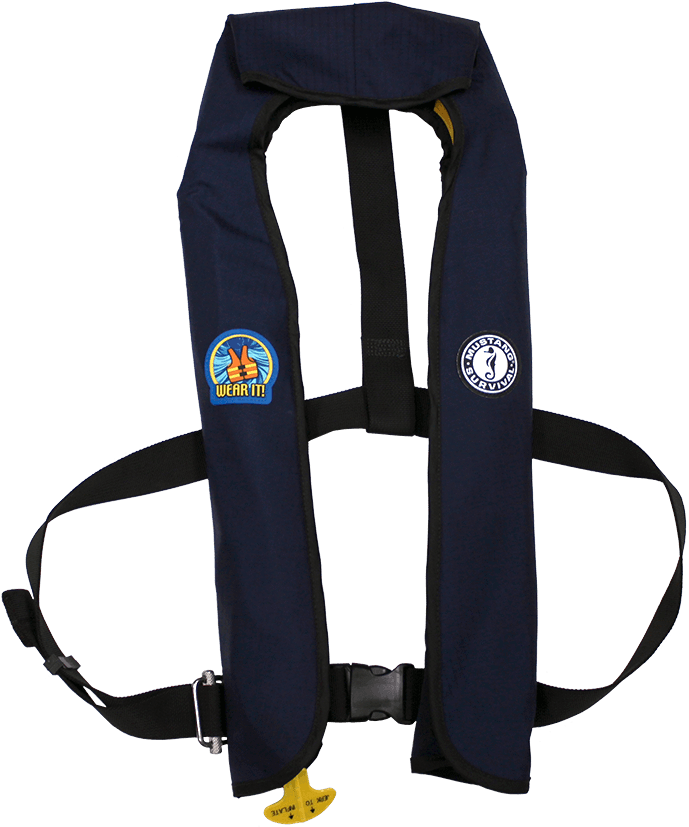 Congratulations! The PNG Image Has Been Downloaded (Type 5 Pfd Life ...