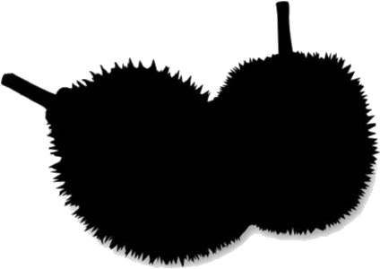 Congratulations! The PNG Image Has Been Downloaded (Durian Fruit Png ...