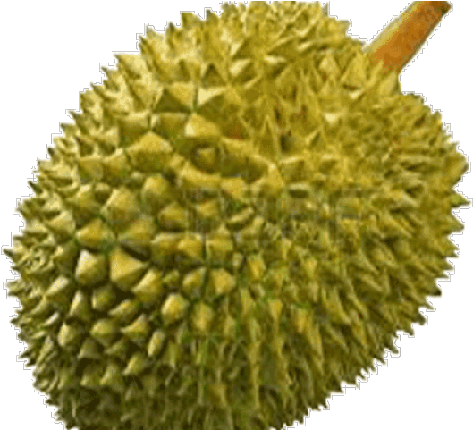Congratulations! The PNG Image Has Been Downloaded (Durian Png ...