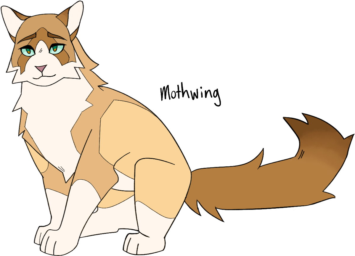 Congratulations! The PNG Image Has Been Downloaded (Image - Moth Wing ...