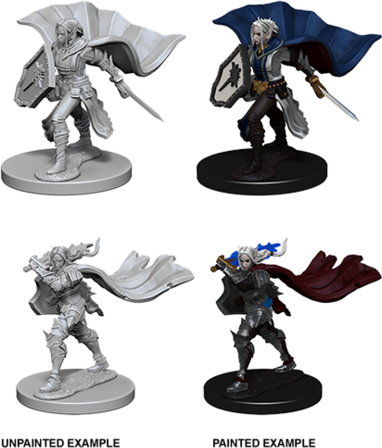 Congratulations! The PNG Image Has Been Downloaded (Elf Male Paladin ...