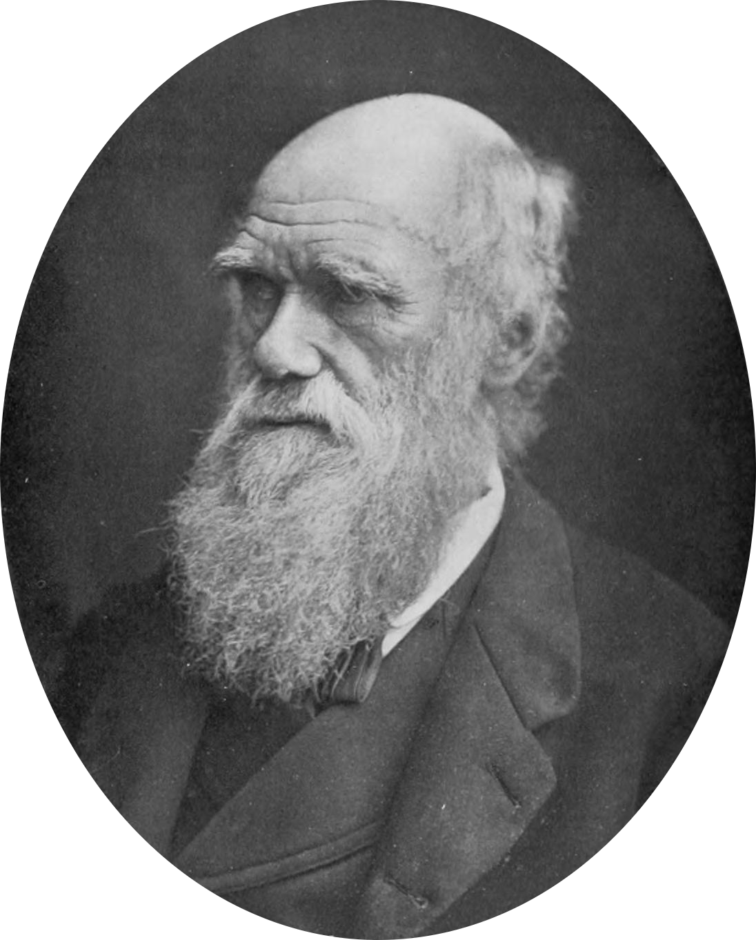 Congratulations! The PNG Image Has Been Downloaded (Nie 1905 Darwin ...