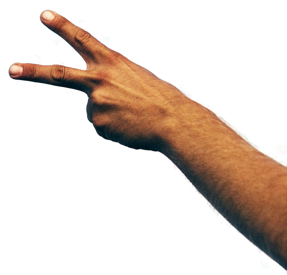 Congratulations! The PNG Image Has Been Downloaded (Peace Back Hand Png ...