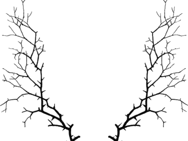 Congratulations! The PNG Image Has Been Downloaded (Transparent Advent ...
