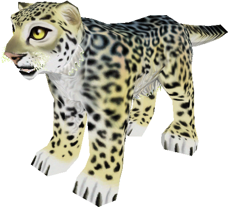 Congratulations! The PNG Image Has Been Downloaded (Snow Leopard Png ...