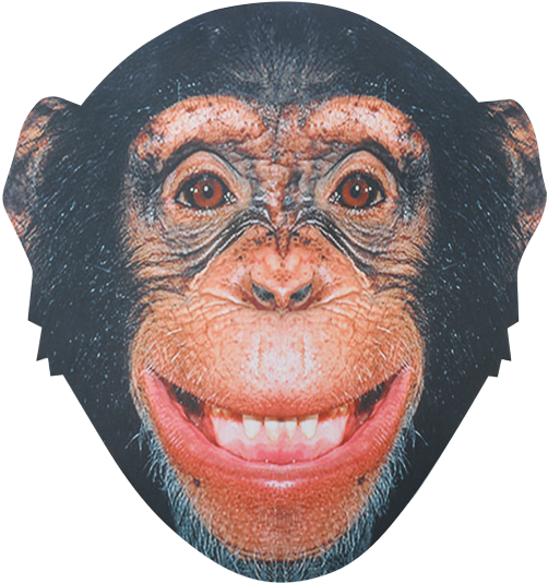 Congratulations! The PNG Image Has Been Downloaded (Chimp Face Png ...