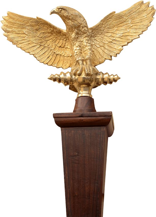 Congratulations! The PNG Image Has Been Downloaded (Roman Legionary ...