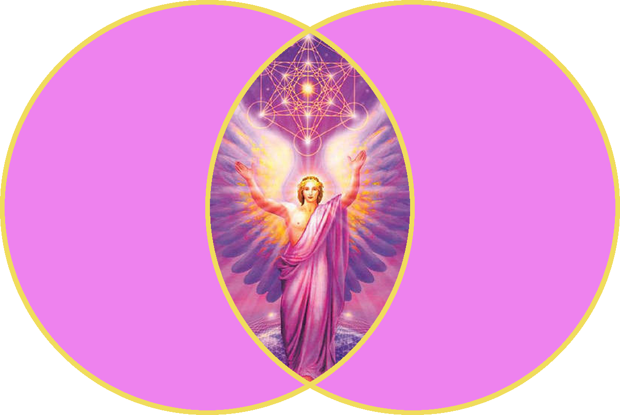 Congratulations! The PNG Image Has Been Downloaded (Transparent ...