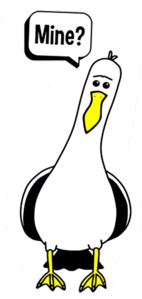 Congratulations! The PNG Image Has Been Downloaded (Scseagull Seagull ...