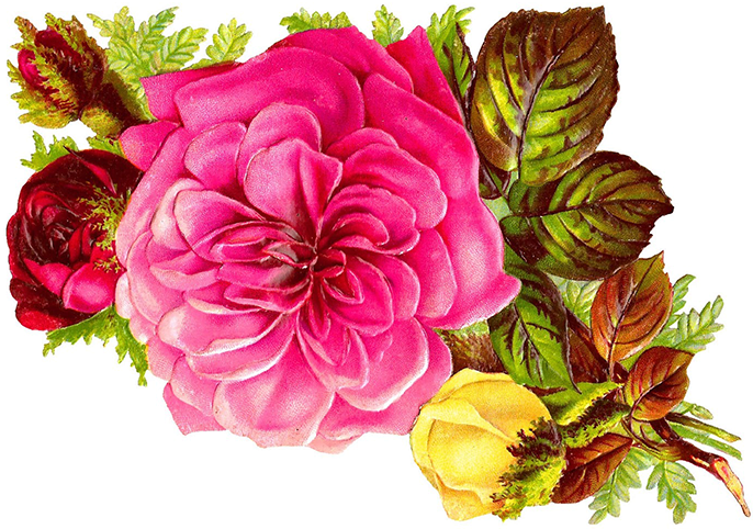 Congratulations! The PNG Image Has Been Downloaded (Flower Group ...