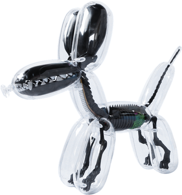 Congratulations! The PNG Image Has Been Downloaded (Image - Balloon Dog ...