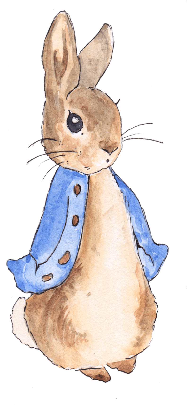 Congratulations! The PNG Image Has Been Downloaded (Peter Rabbit Png ...