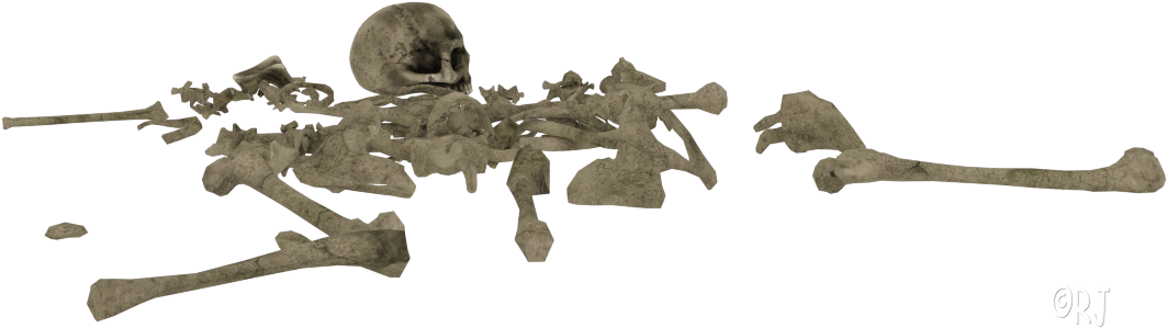 Congratulations! The PNG Image Has Been Downloaded (Pile Of Bones Png ...