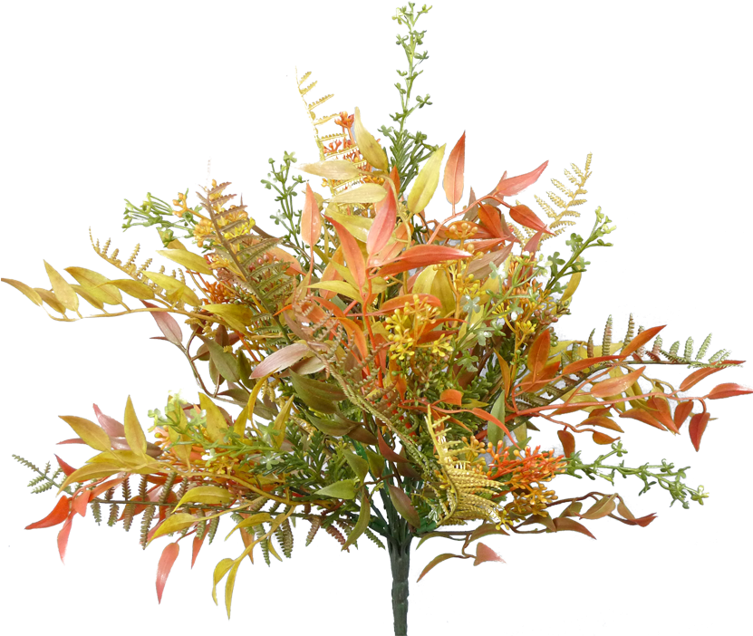 Congratulations! The PNG Image Has Been Downloaded (Fall Mixed Leaf ...