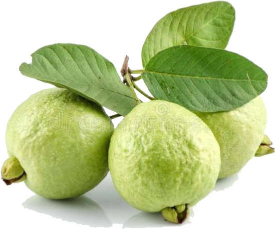 Congratulations! The PNG Image Has Been Downloaded (Guava Transparent ...