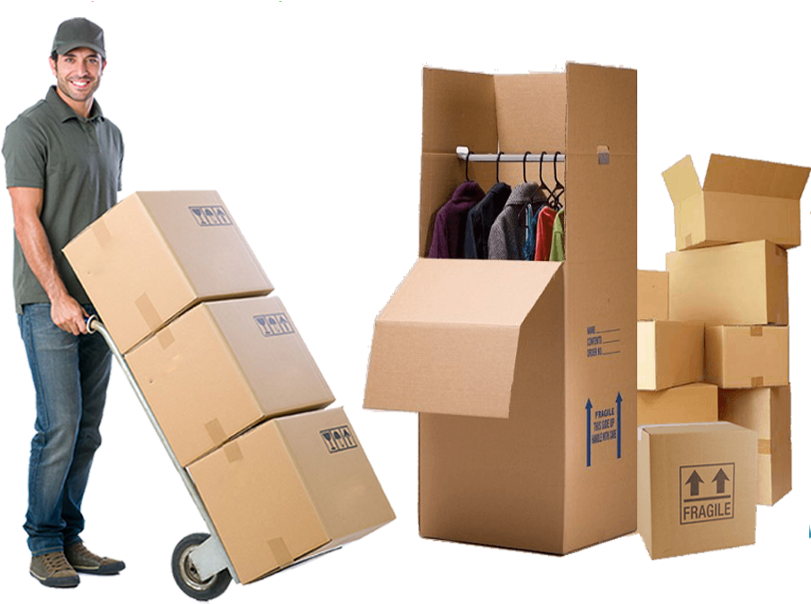 Congratulations! The PNG Image Has Been Downloaded (Packing And Movers ...
