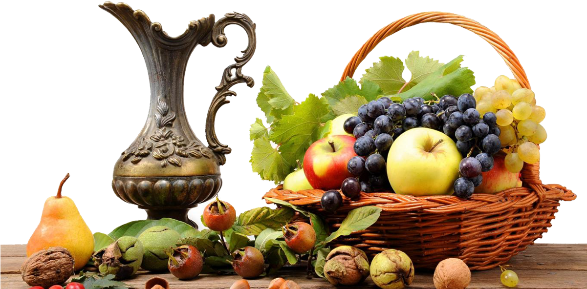 Congratulations! The PNG Image Has Been Downloaded (High Resolution ...