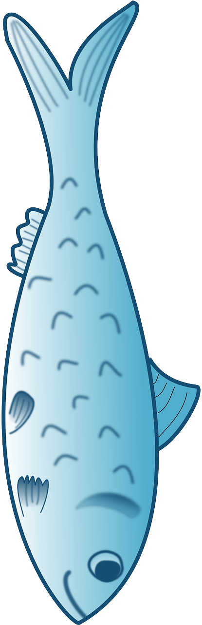 Congratulations! The PNG Image Has Been Downloaded (Transparent Trout ...
