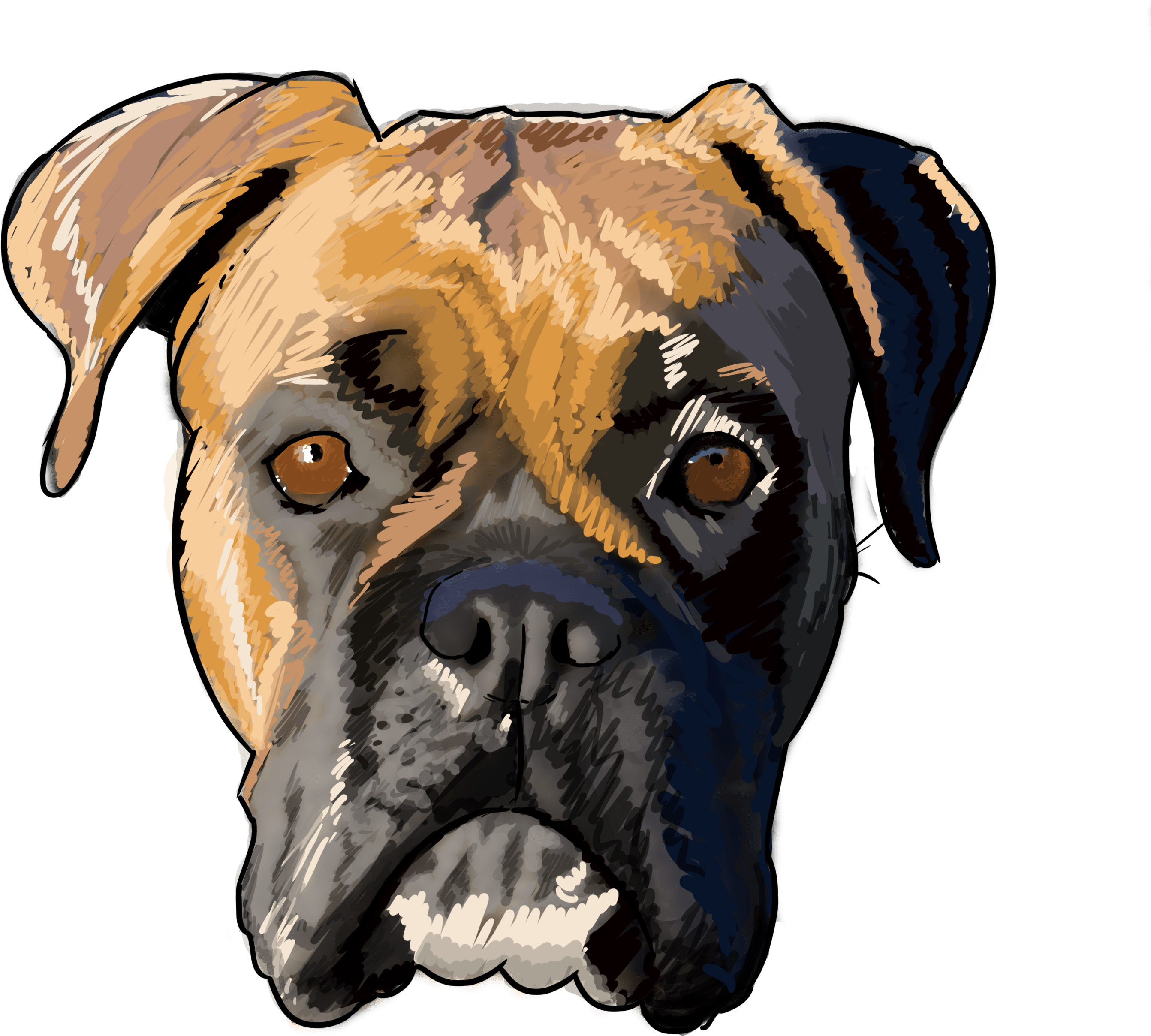 Congratulations! The PNG Image Has Been Downloaded (7 Why Are You A ...