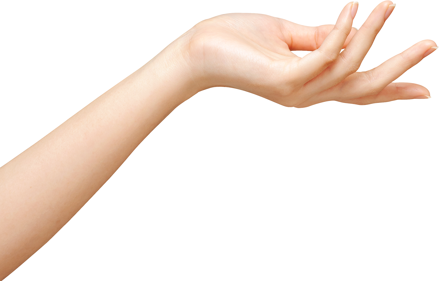 Congratulations! The PNG Image Has Been Downloaded (Transparent ...