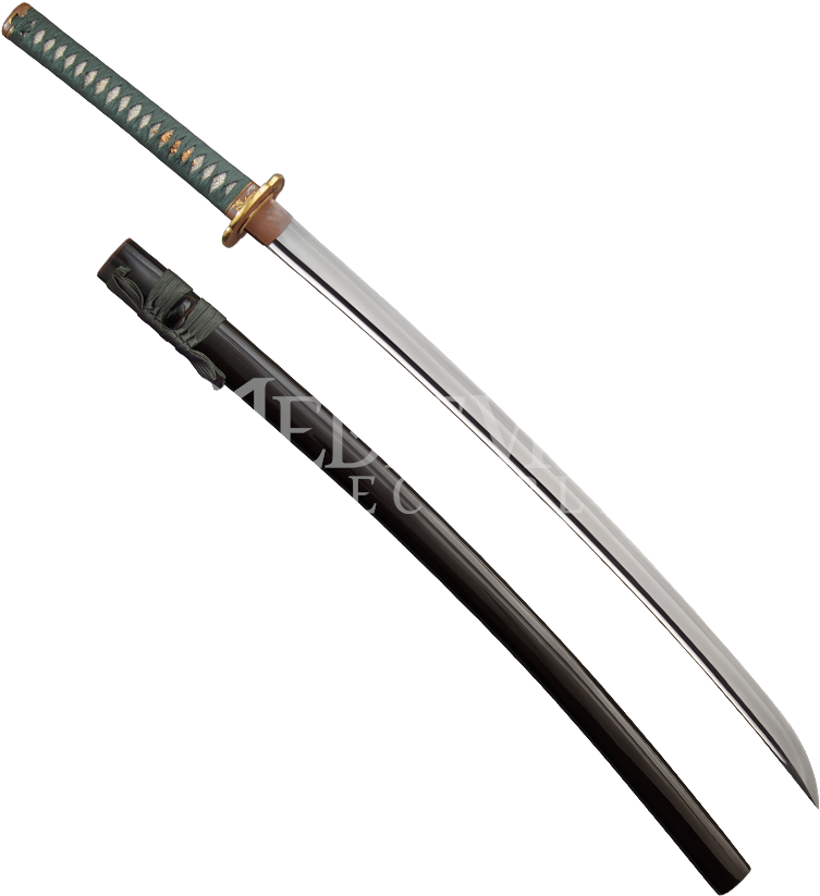 Congratulations! The PNG Image Has Been Downloaded (Praying Mantis ...