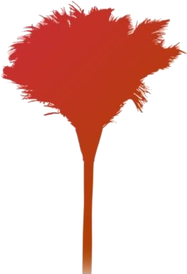 Congratulations! The PNG Image Has Been Downloaded (Feather Duster Png ...