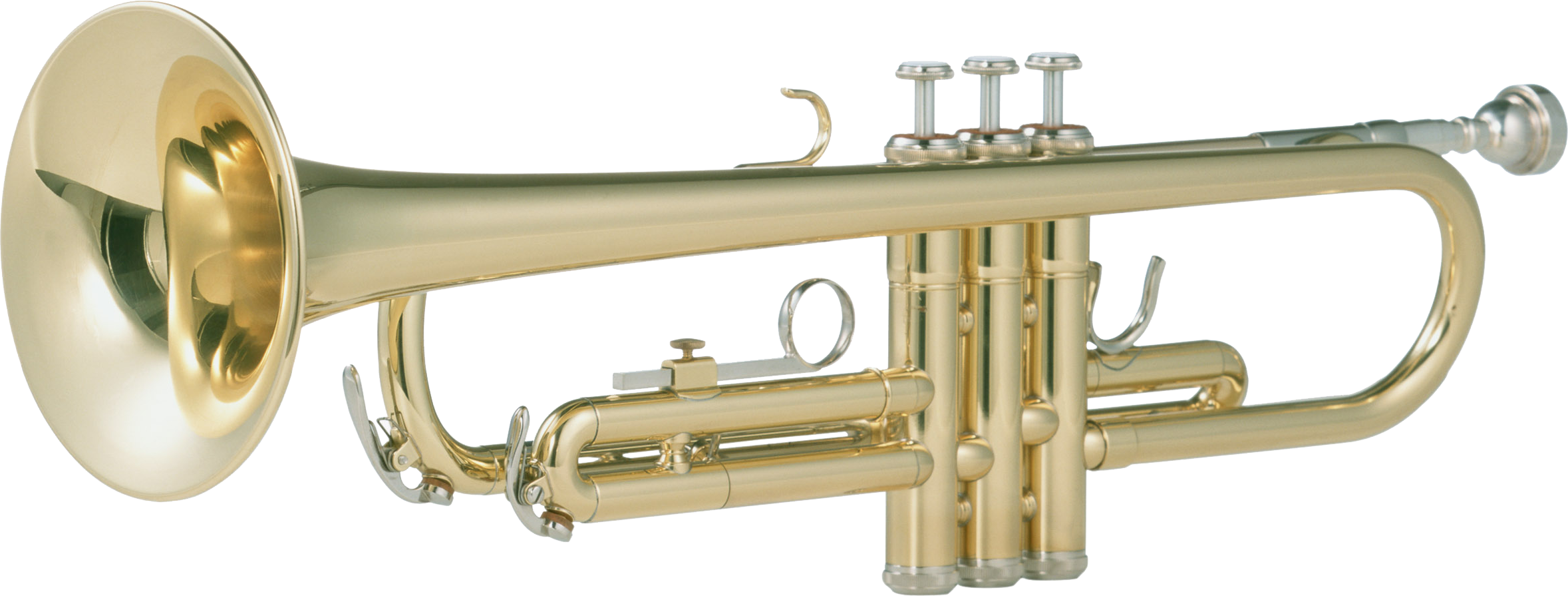 Congratulations! The PNG Image Has Been Downloaded (Trumpet Png ...