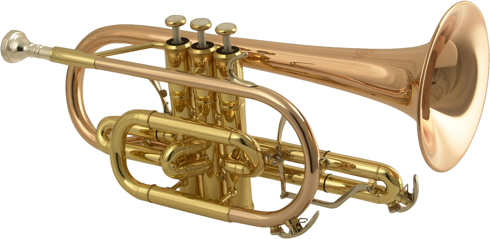 Congratulations! The PNG Image Has Been Downloaded (Trumpet Png ...