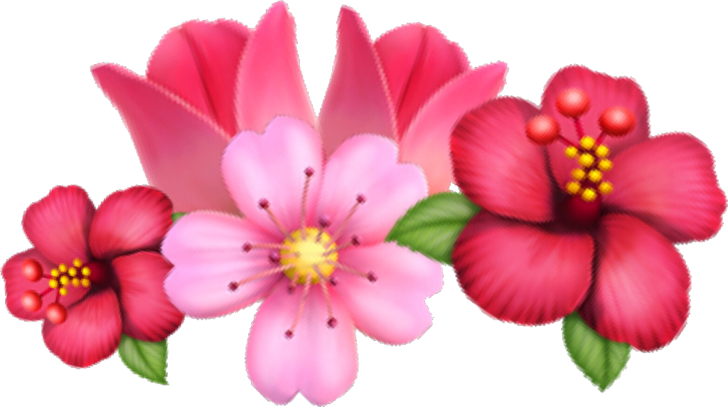 Congratulations! The PNG Image Has Been Downloaded (Transparent Cherry ...