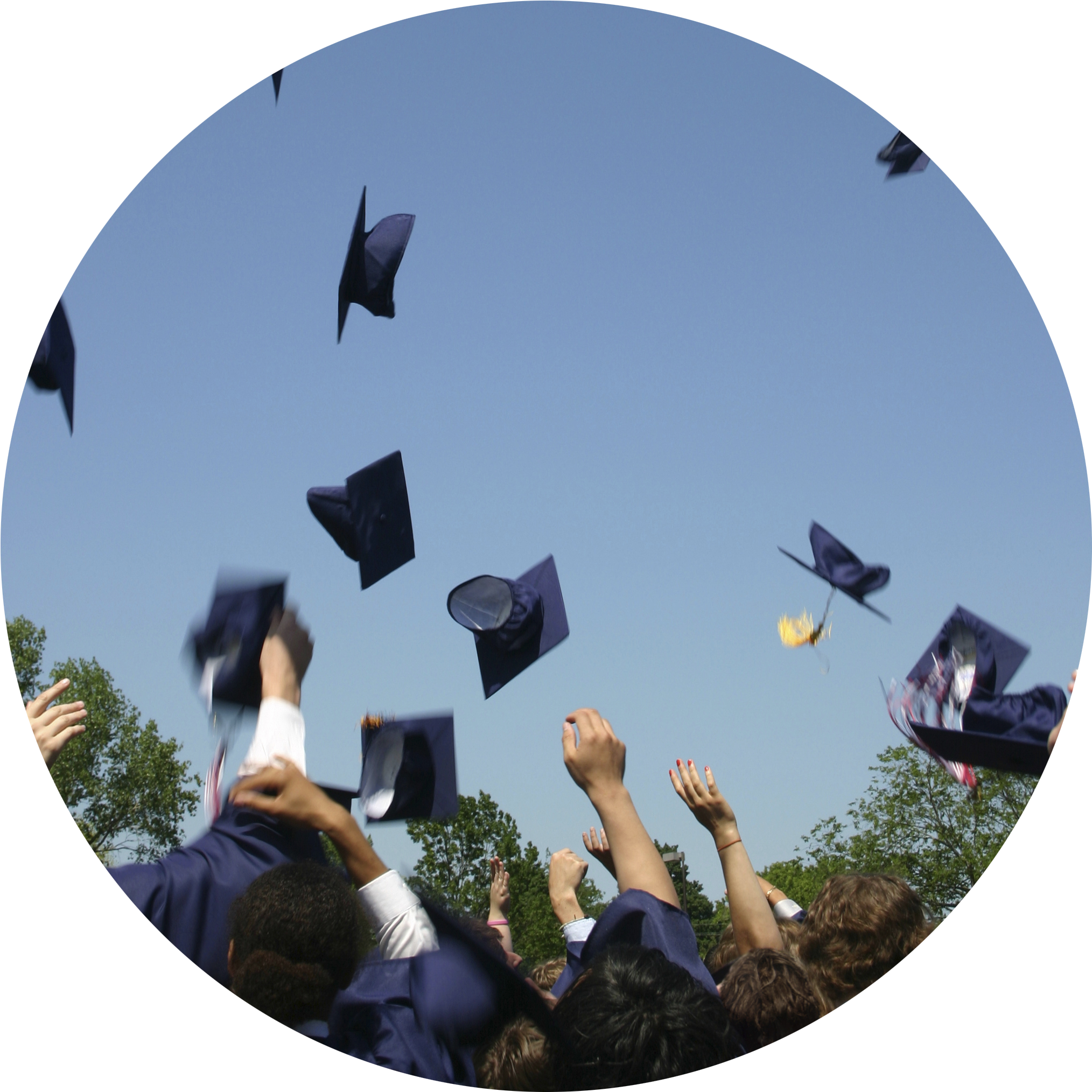 Congratulations! The PNG Image Has Been Downloaded (College Graduation ...