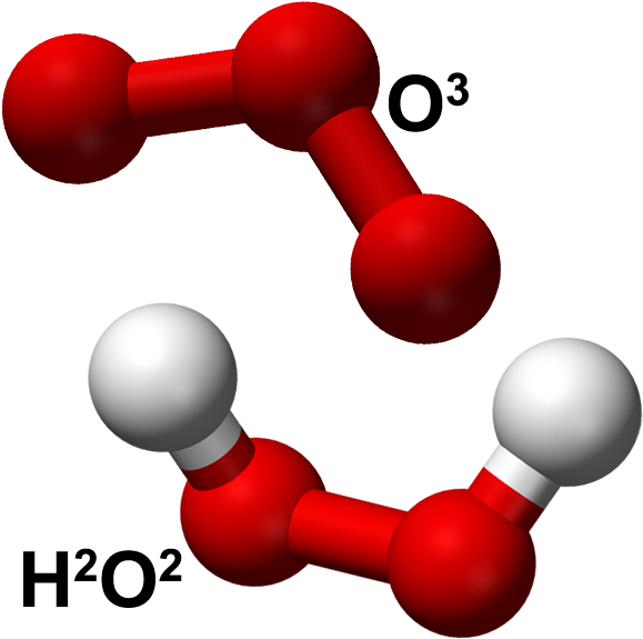 Congratulations! The PNG Image Has Been Downloaded (Transparent ...