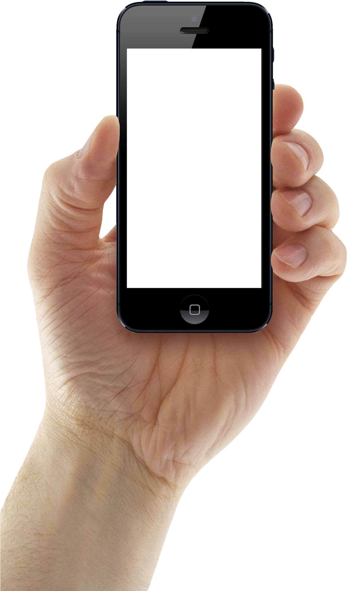 Congratulations! The PNG Image Has Been Downloaded (Hand Holding Phone ...