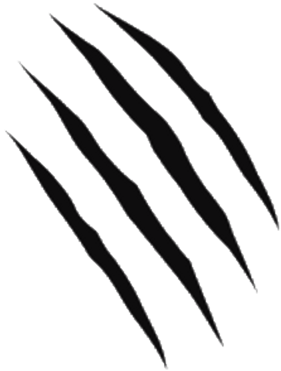 Congratulations! The PNG Image Has Been Downloaded (Scratches Cuts ...