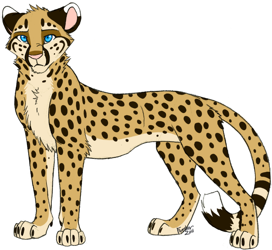 Congratulations! The PNG Image Has Been Downloaded (Transparent Cheetah ...