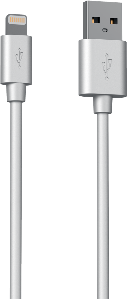 Congratulations! The PNG Image Has Been Downloaded (Iphone Charger Png ...