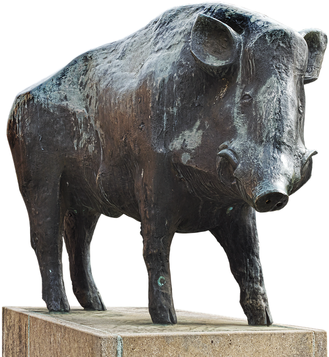 Congratulations! The PNG Image Has Been Downloaded (Boar Png ...