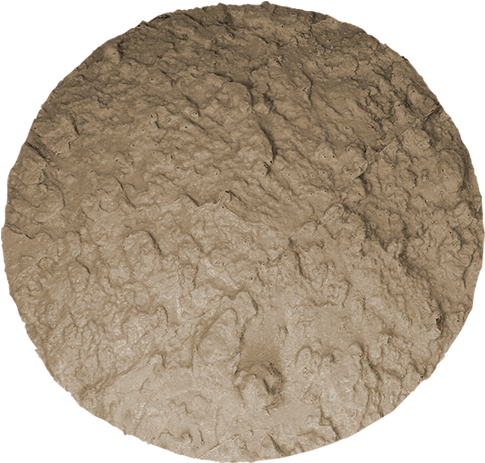 Congratulations! The PNG Image Has Been Downloaded (Moon Texture Png ...
